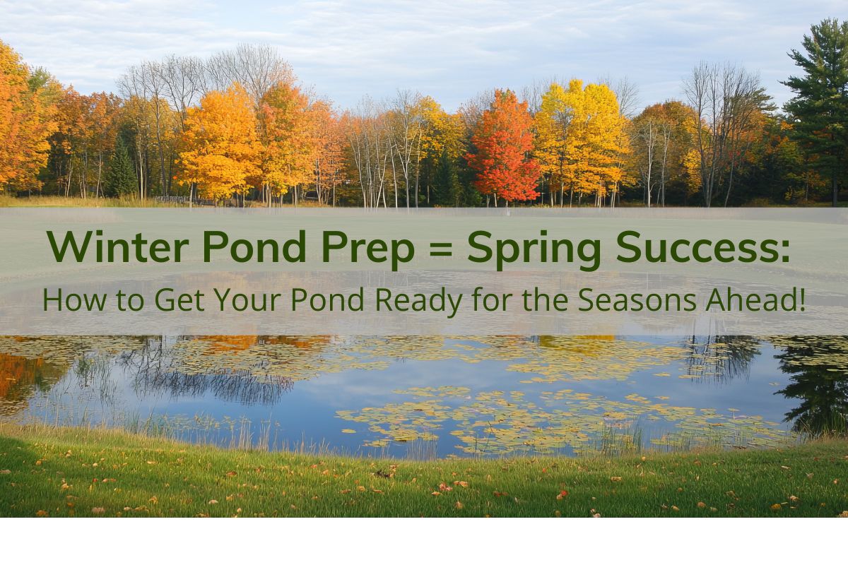 Winter Pond Prep = Spring Success: How to Get Your Pond Ready for the ...